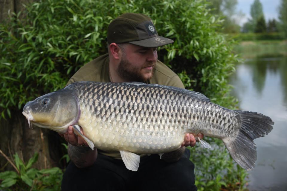 Silver common | Total Carp